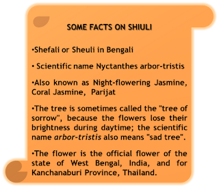 The Bangla Calendar: Pujor Gondho