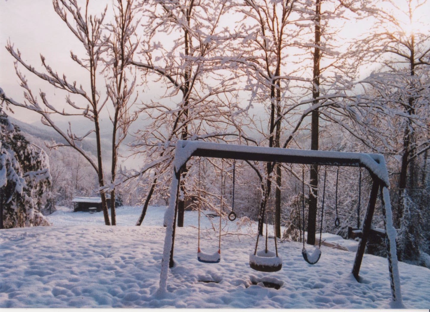 The Linefork Years: Introduction