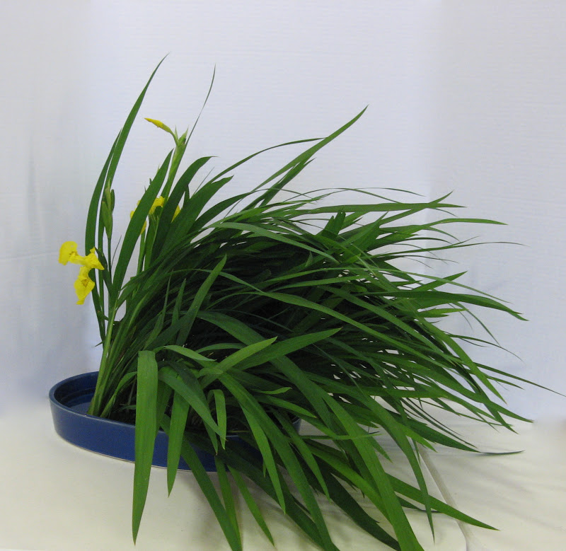 ROADSIDE IKEBANA: 2012