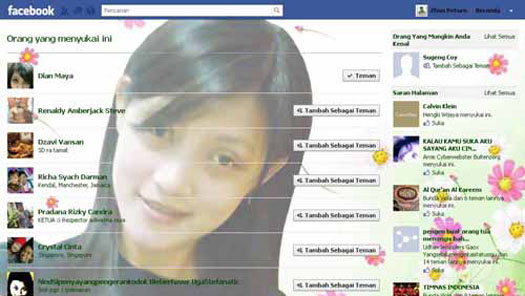 Top Ten Collection: Top 10 Facebook Themes/Skins 2013 for Free Download