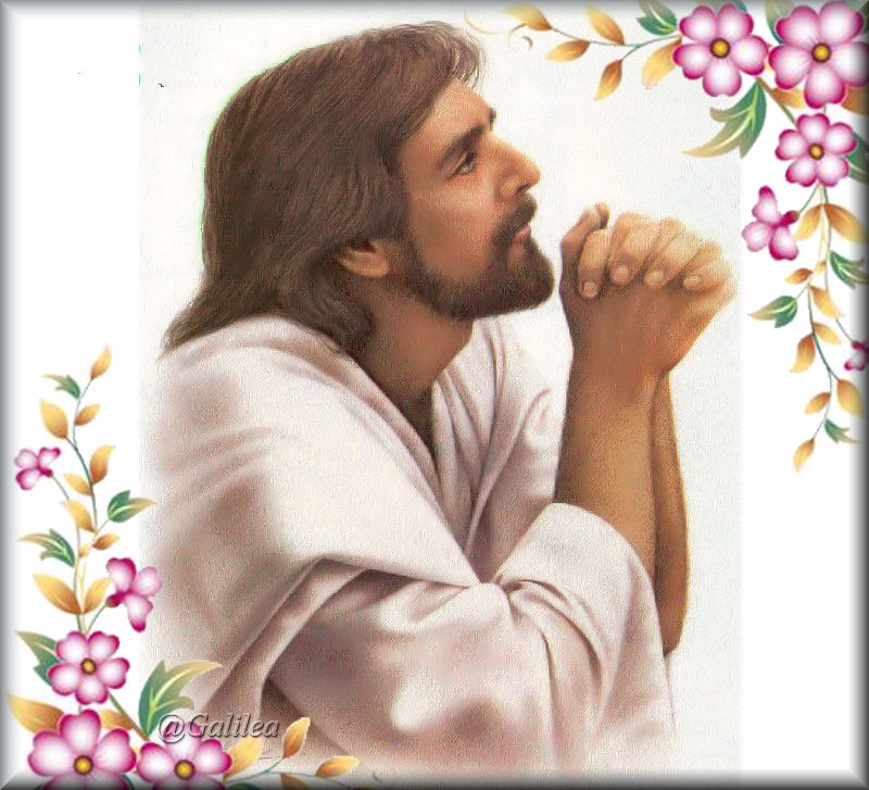 Corazón de Jesús en Vos Confío: Jesús reza siempre por nosotros