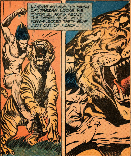 Slay, Monstrobot of the Deep!!: Friday Night Fights--A Tiger?!? In ...