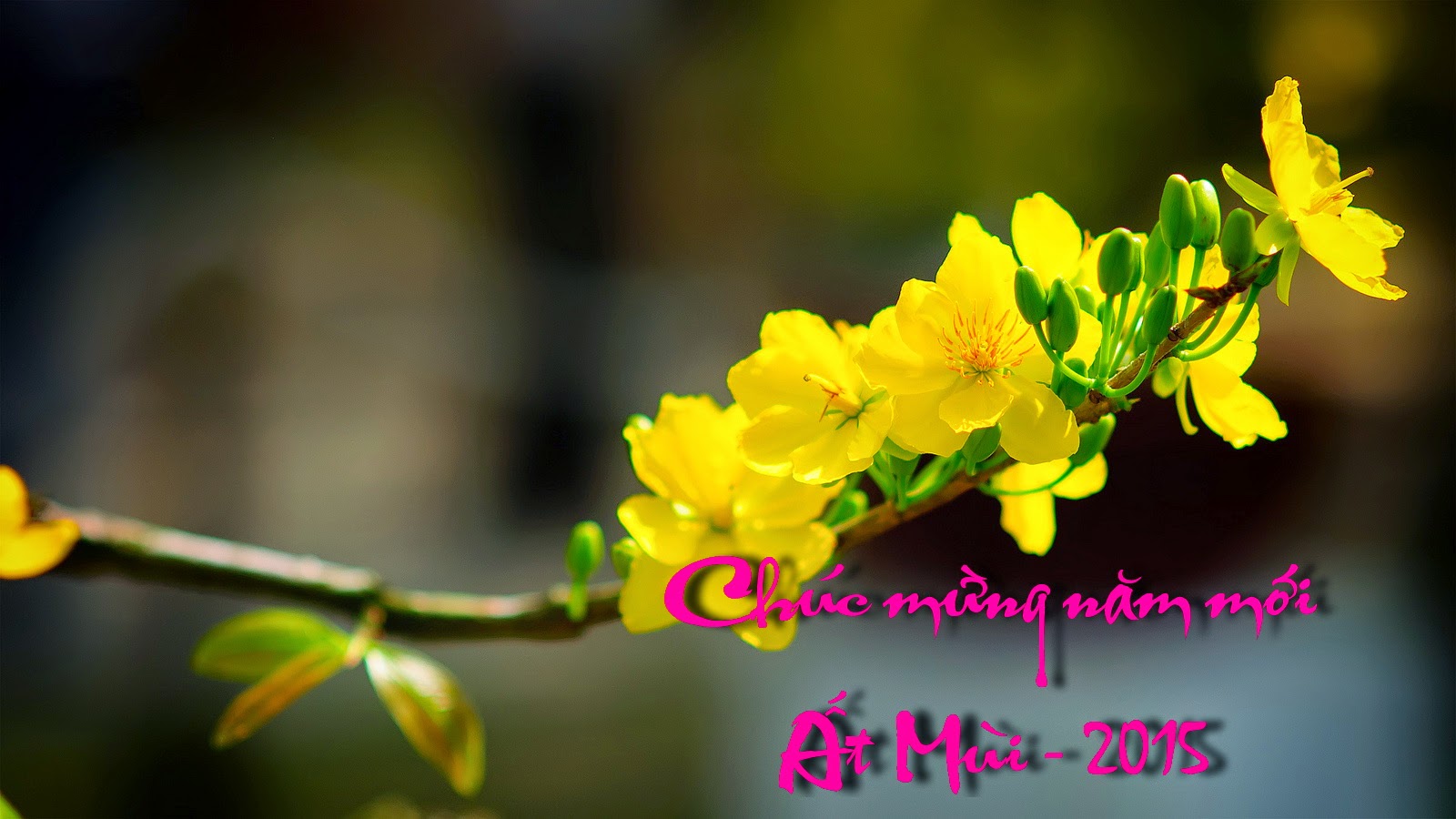 Khung Bài Hát Mùa Xuân