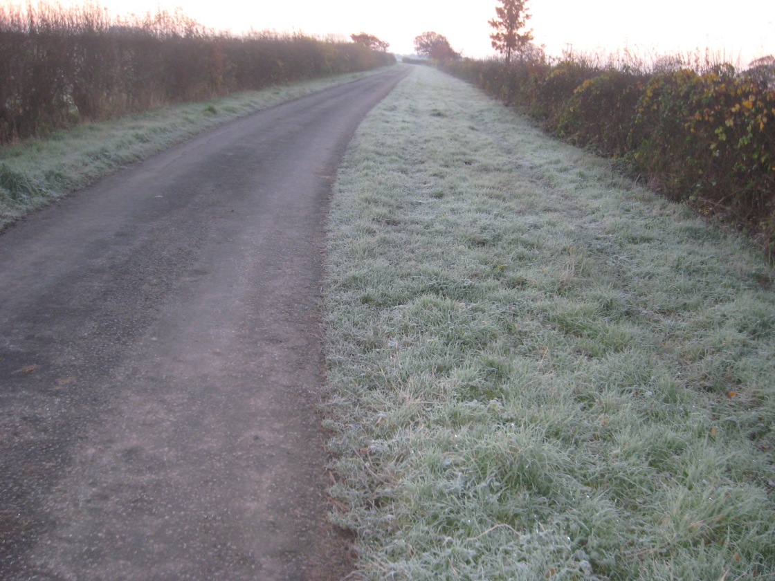 Poems and Paths: THE FIRST FROST