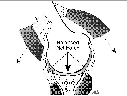 Shoulder Arthritis / Rotator Cuff Tears / Shoulder Pain : What causes ...