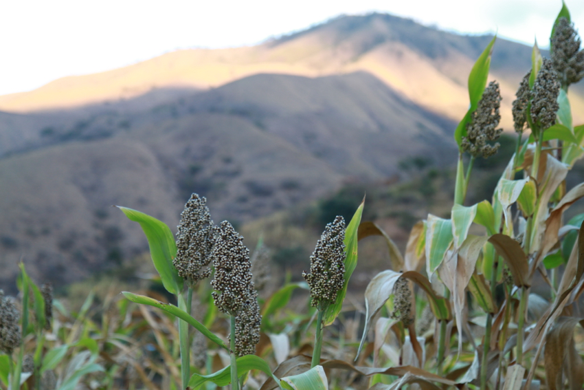 The Río Negro Project: Sebastian Iboy Osorio and the 'New' Río Negro