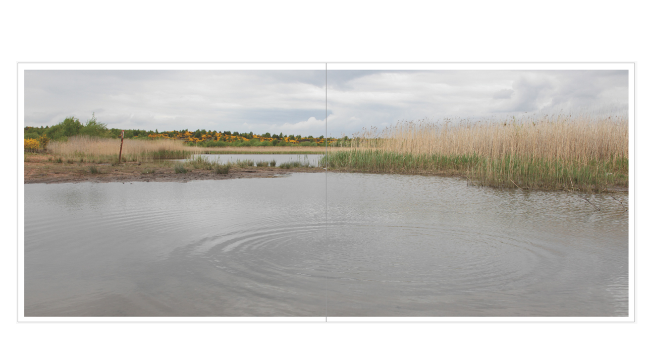 Digital Image and Culture Photography 2 : Assignment 2: The archive ...