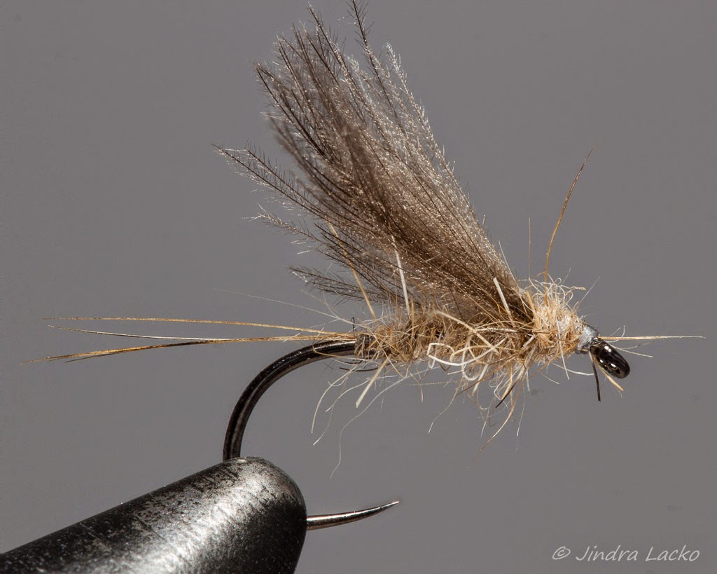Grayling on the Fly: Red Fox & CDC