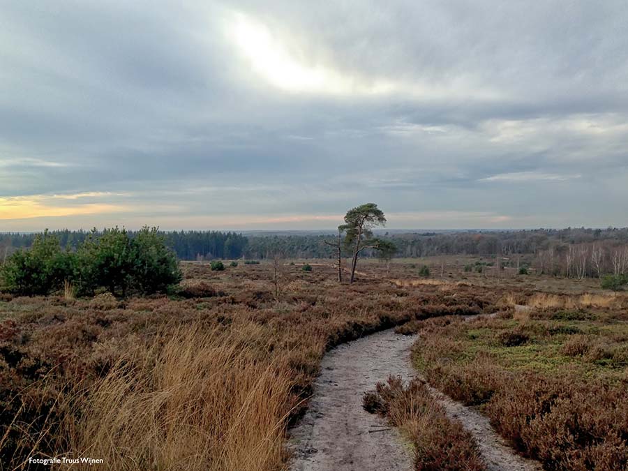 Wandelingen, een weblog met wandelroutes: Wandeling Holten - Holterberg ...
