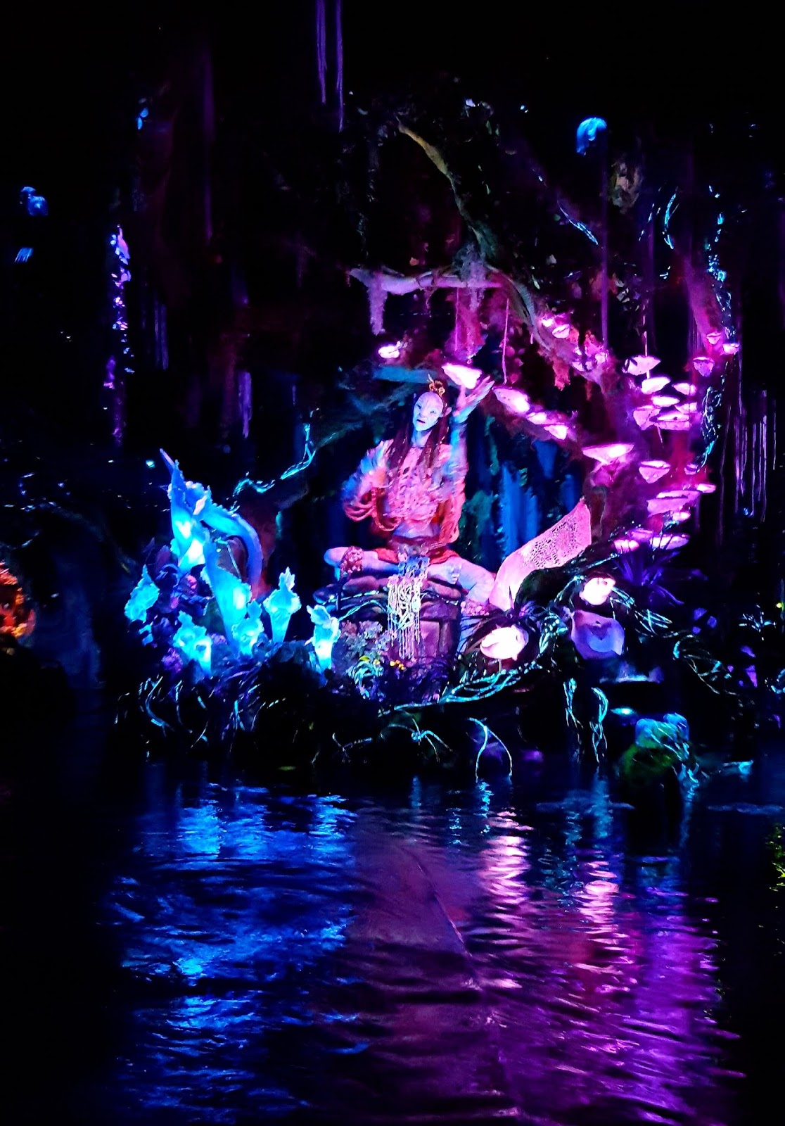 Disney at Heart: Photo of the Week