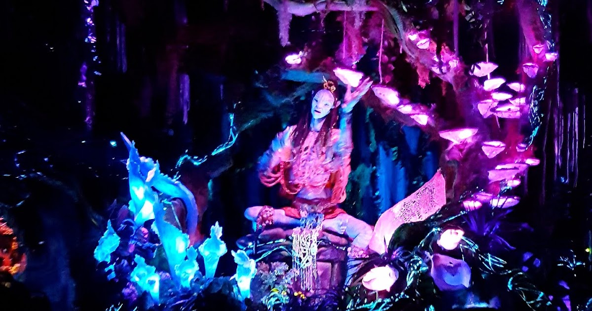 Disney at Heart: Photo of the Week