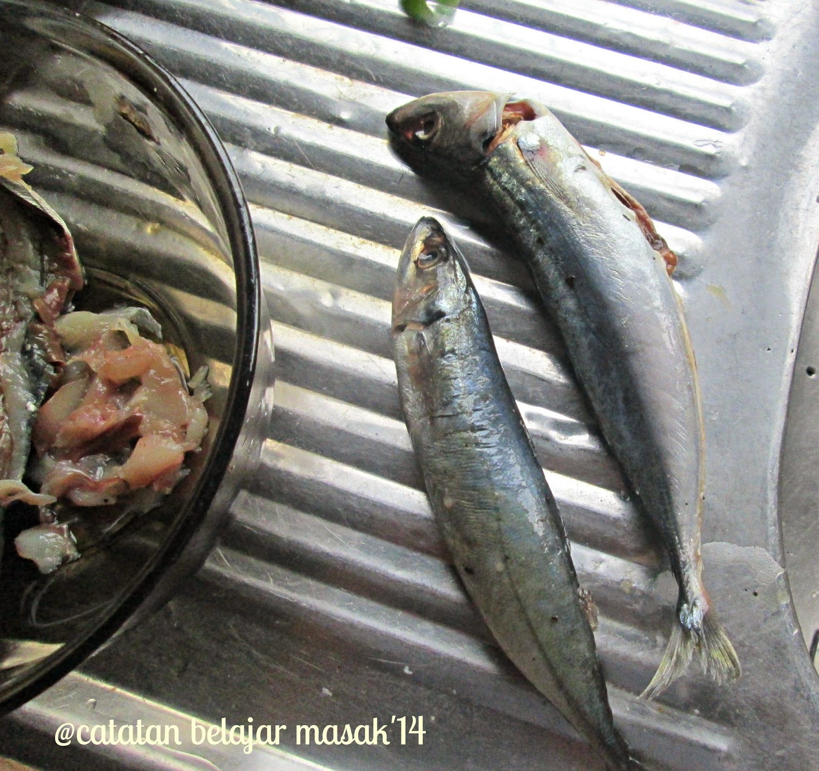 Tekwan Ikan Dencis | Catatan Belajar Masak