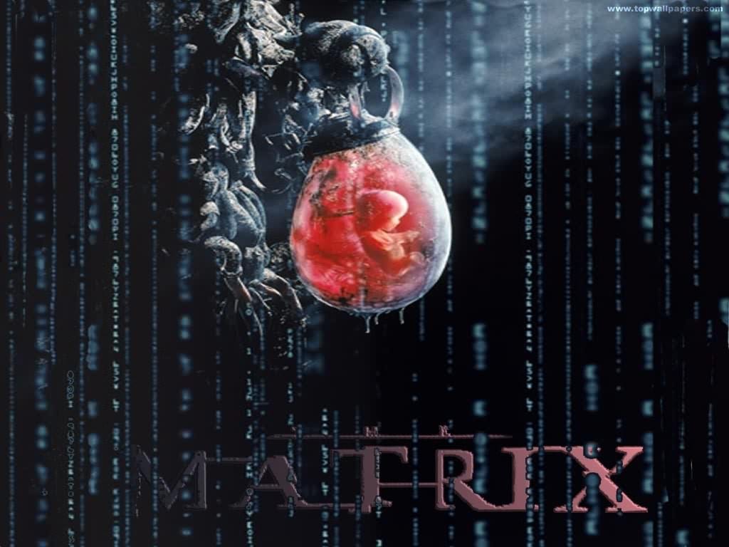 Abertura Lateral: Matrix – As Máquinas e suas baterias humanas