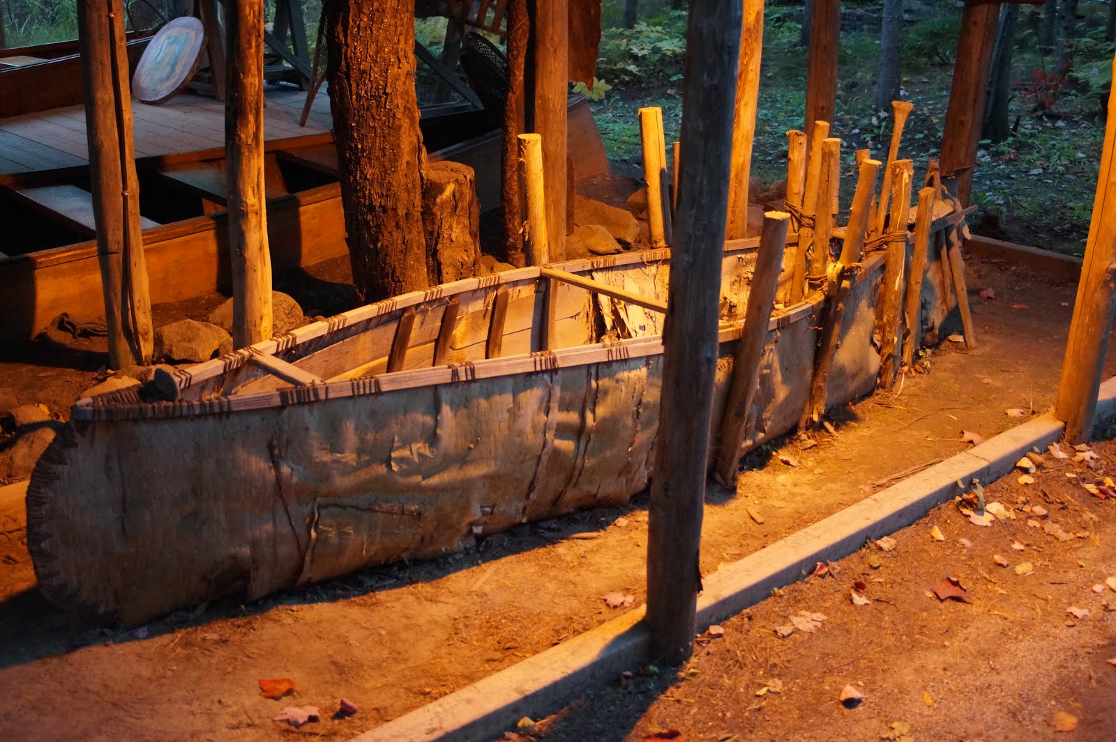 les poissons des arbres: Canot indien en écorce