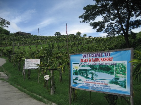 Reeer Dragon Fruit Farm/Resort