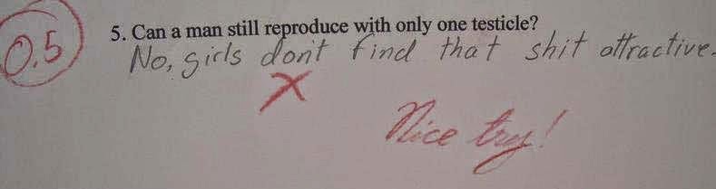 30 Hilarious Dumb Brilliant Exam Answers ~ Go4Pix - Funniest Creepiest ...