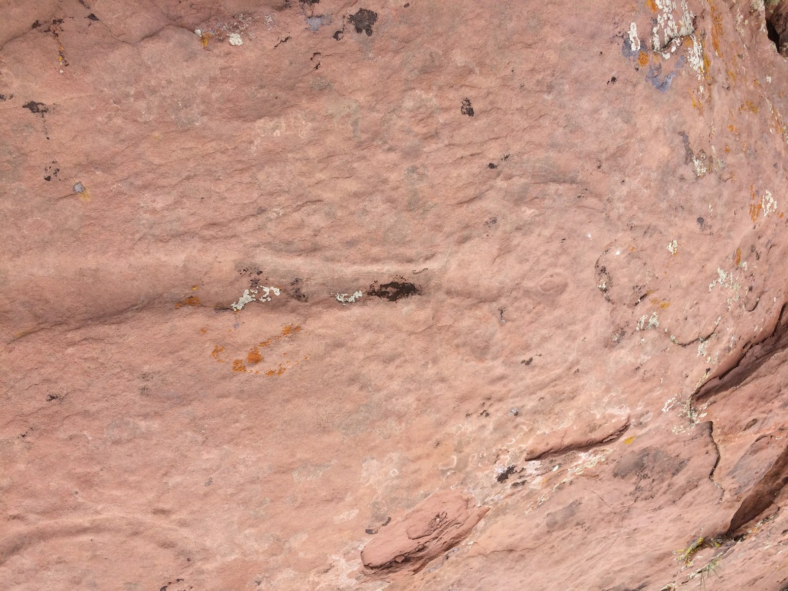 Oddities Curios and Other repressed Emotions: Water Glyphs