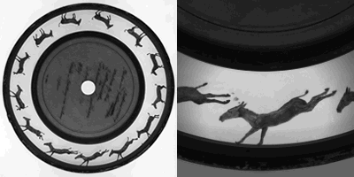 MAMG - Cultura y Diseño - UAM Azcapotzalco: Eadweard Muybridge y el ...