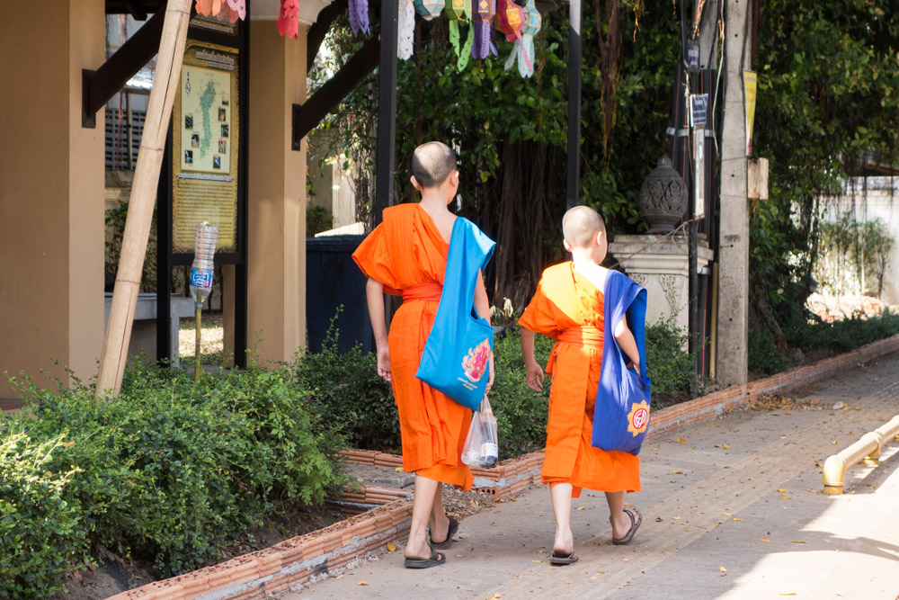 the indolent cook: chiang mai day trip: to lamphun for longans