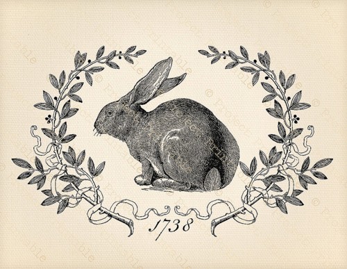 Art Now and Then: Rabbit Art