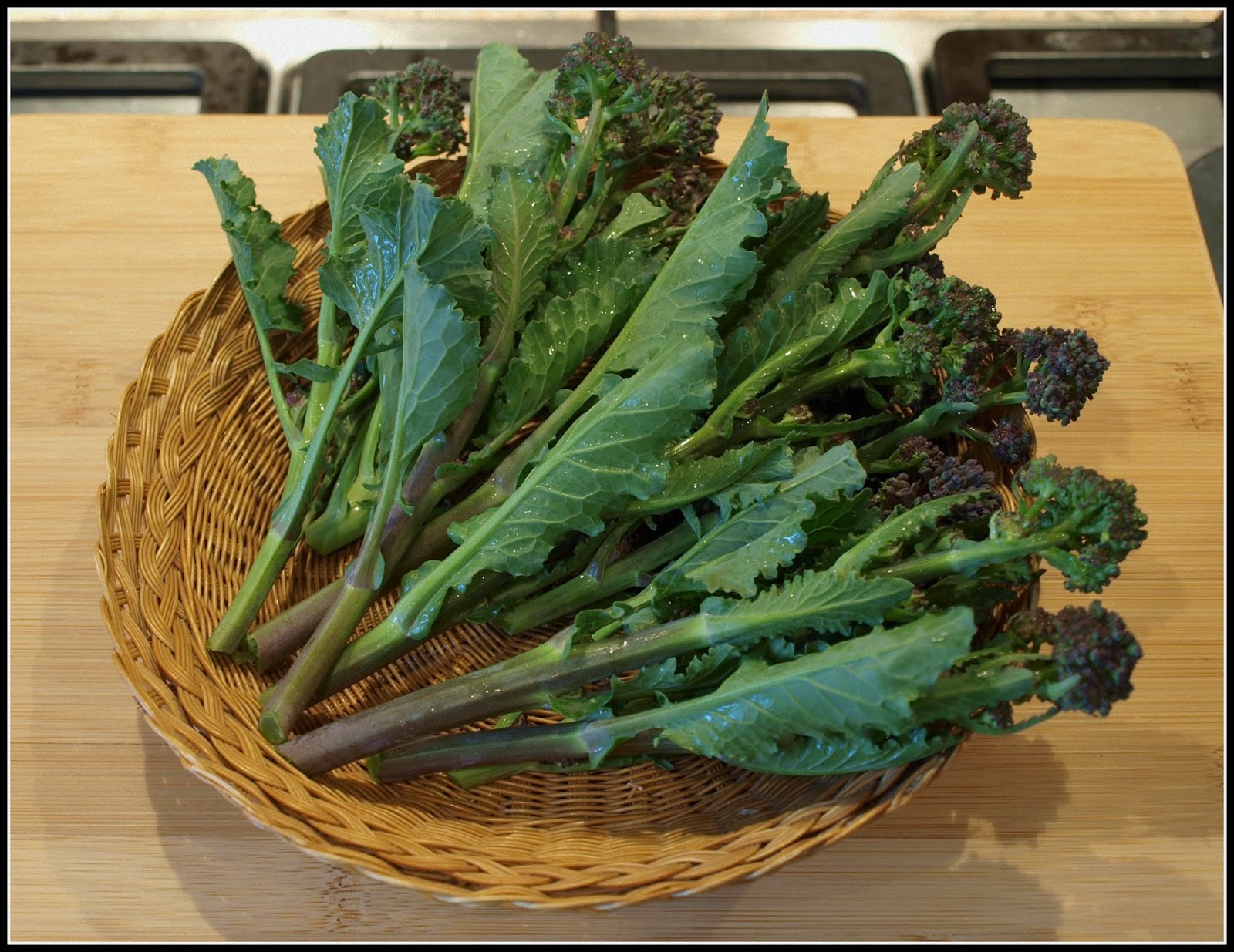 Mark's Veg Plot: March 2014