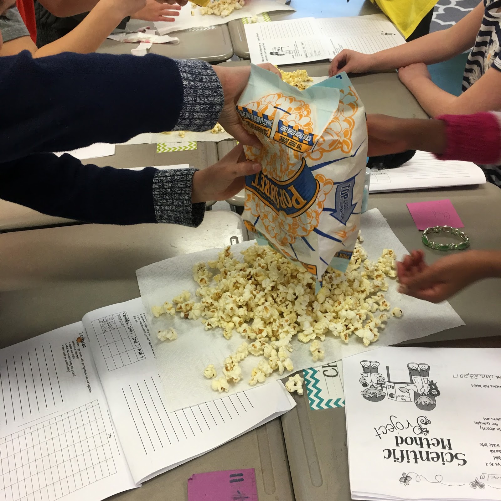 Science Fair Projects Made Simple | All About 3rd Grade