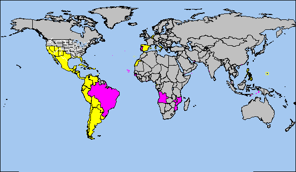 estudo-V: The Portuguese Empire