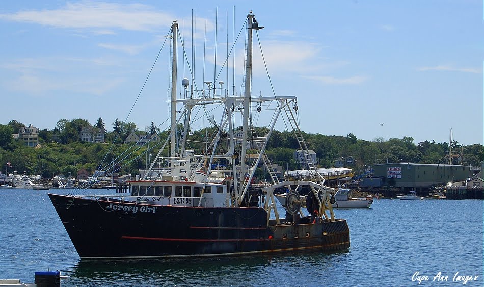 Cape Ann Images: Scallops, Tuna and Sunsets