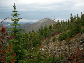 Tall Pines Hiker: Tuchuck Mountain