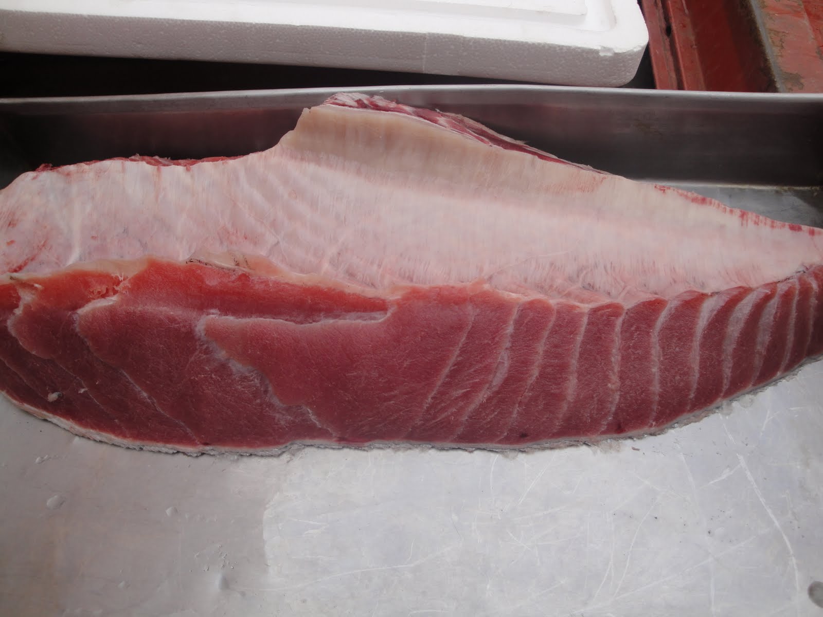 Pescado Fresco de Lima Peru: Atun aleta amarilla de Peru