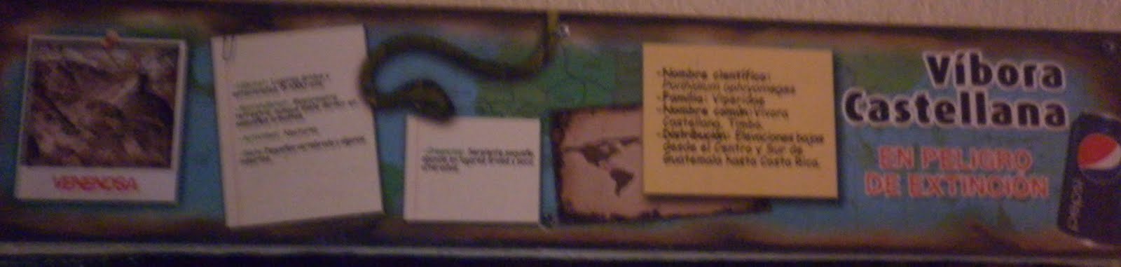 Zoológico "La Aurora"