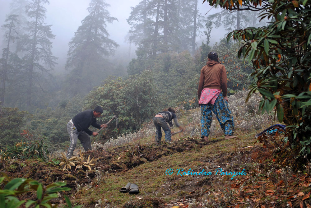 HIMALAYAS: Serenity and Diversity
