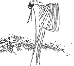 Taoism: Holy Figures