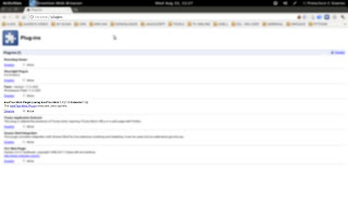 Francisco C Soares: Chrome + Java
