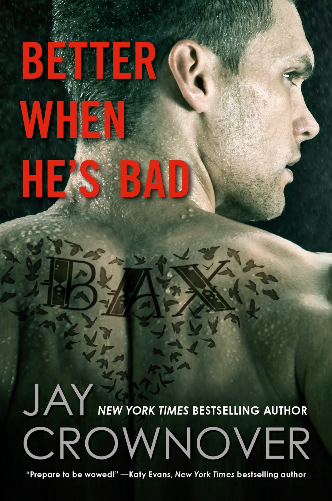 Better When He's Bad ARC Review Repost | Zili In The Sky Book Blog