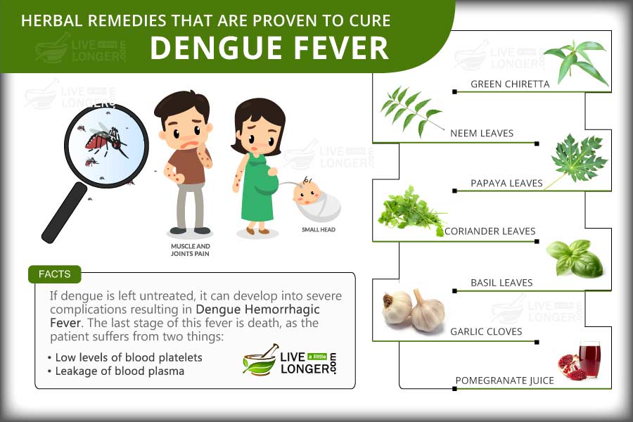 Dengue Patrol SMK Mahmud Mahyidin: Herbal Remedies To Cure Dengue Fever