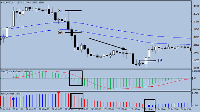 WAMA Forex Trading System - Tentang Forex dan Ekonomi
