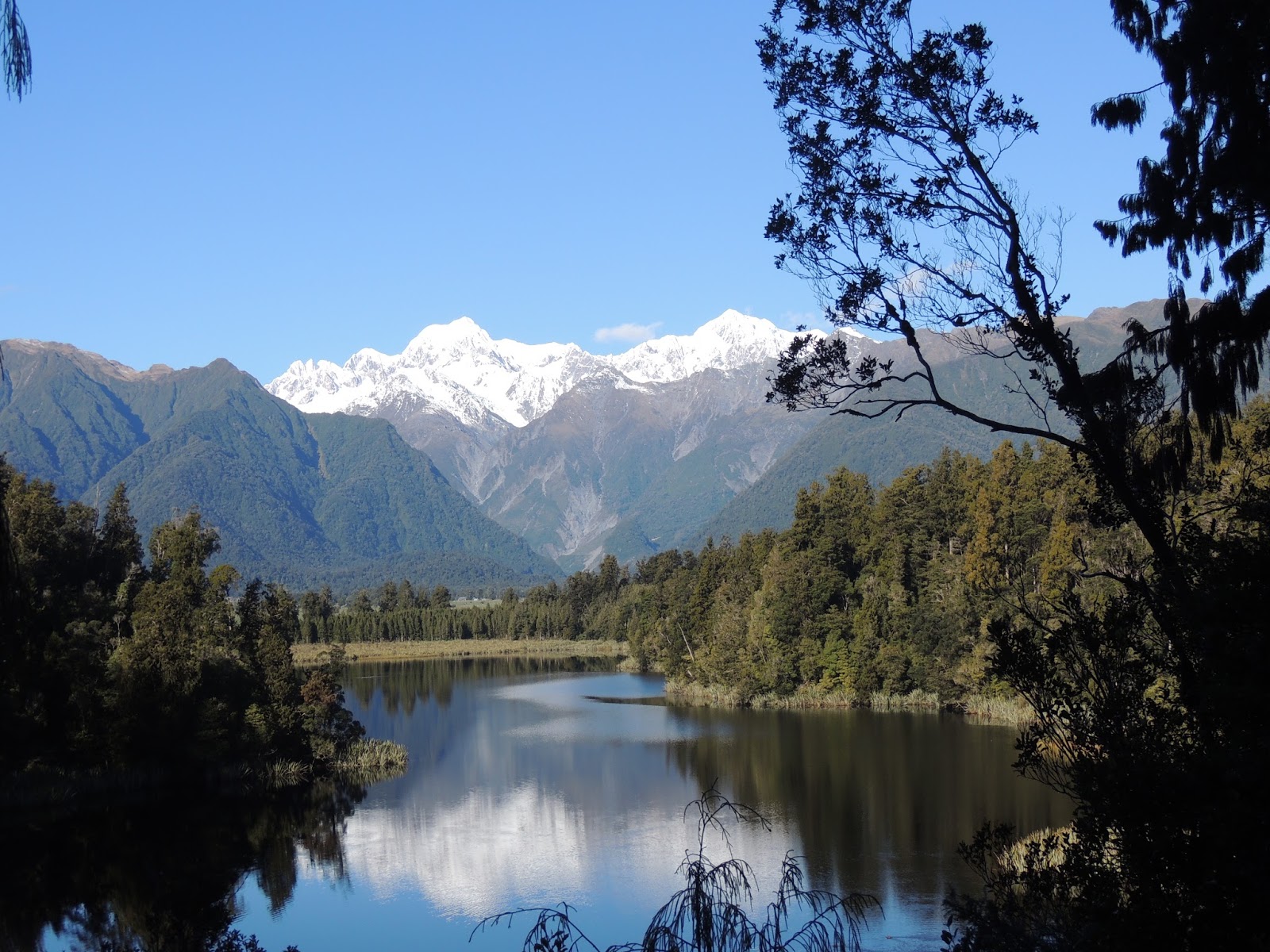 THE ROAD TAKEN : To Fox Glacier + Lake Matheson