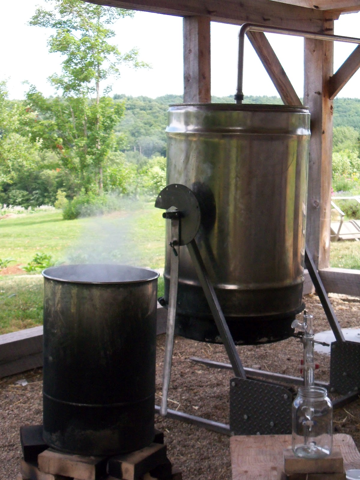 Plant Journeys: Calendula at Peak, Lavender Distillation, and Summer Lush