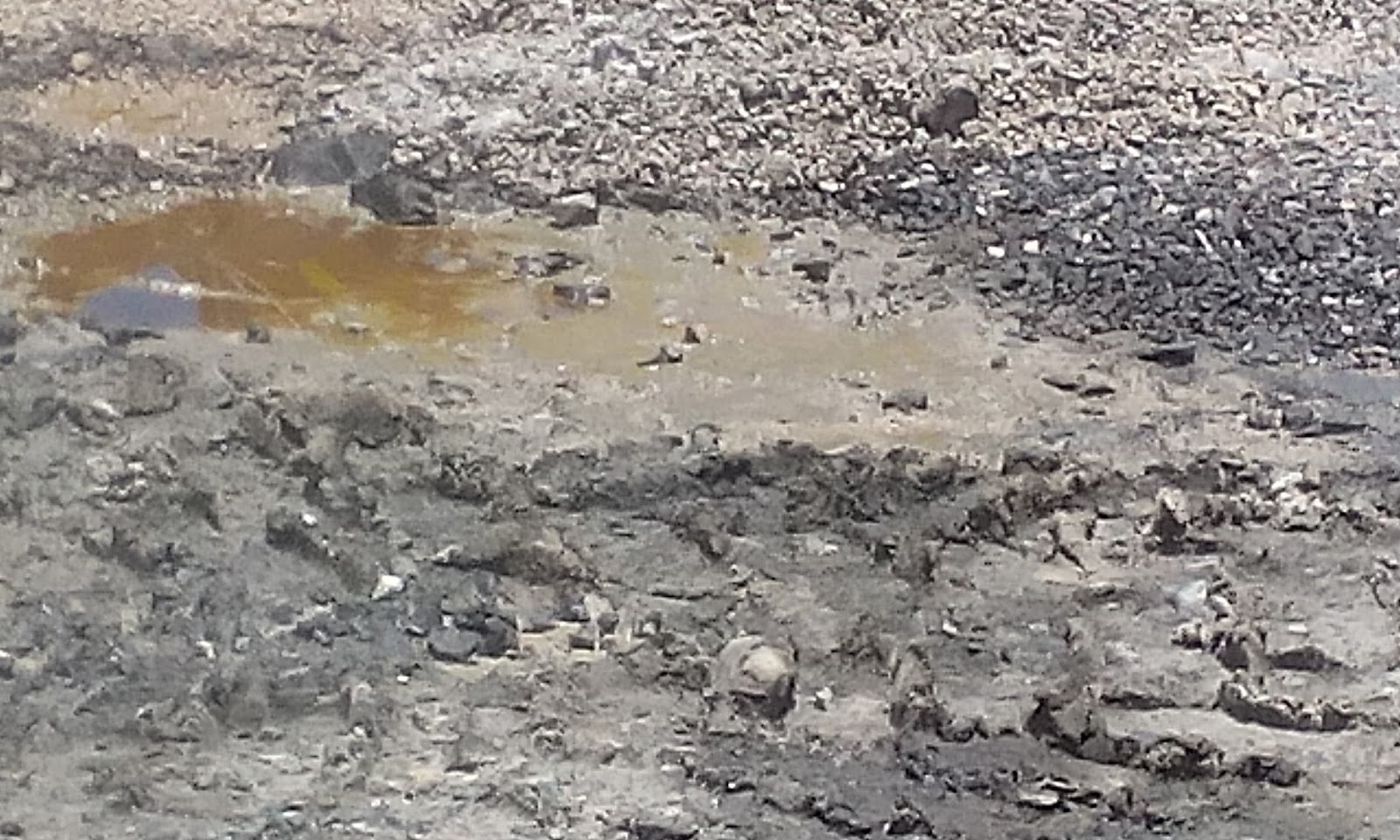 Laura's Page : South Africa Oil Dumping an Environmental Disaster