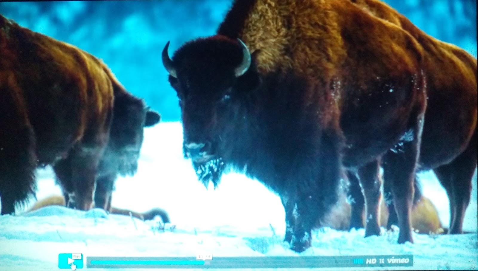 INSTITUTO DE BIOLOGIA & INGENIERIA DE ECOSISTEMAS: SILENCING THE THUNDER