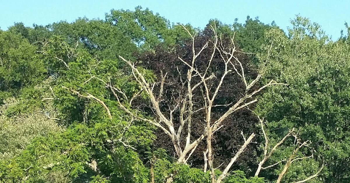 Living Liminally: Meeting a New Liminal God