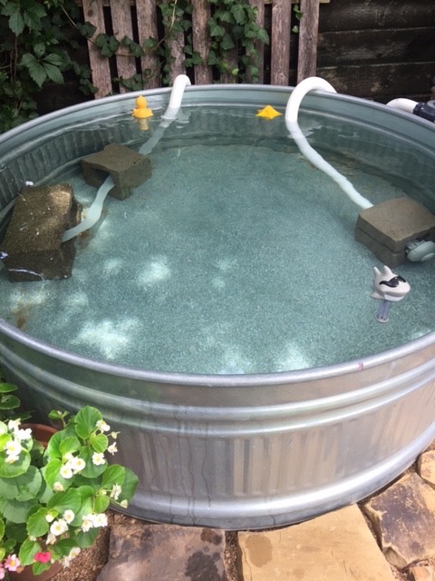 Let's Add Sprinkles: New Pump For Our Stock Tank Pool