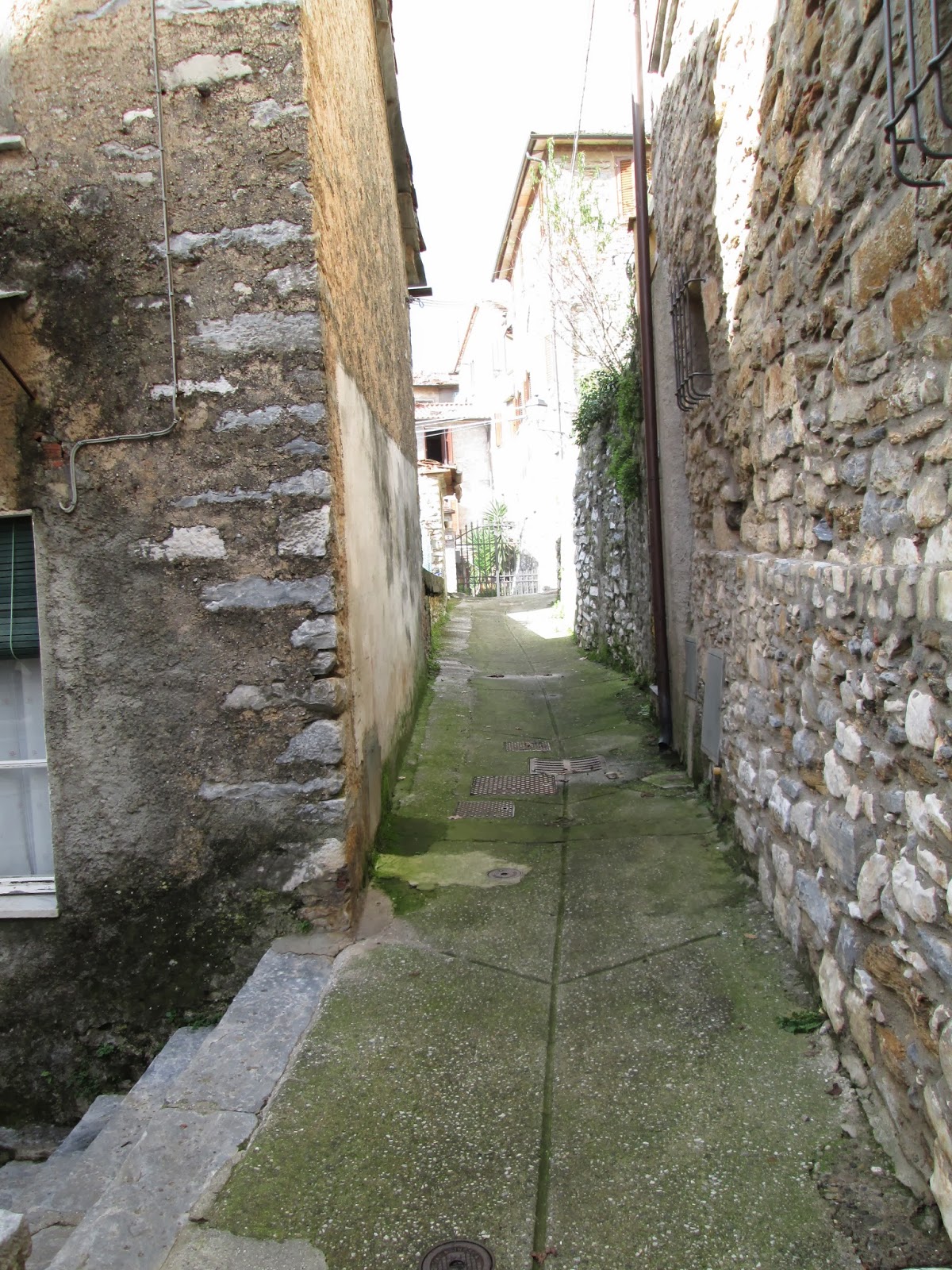 Raccontare un paese: alta Versilia: Strade di paese 1
