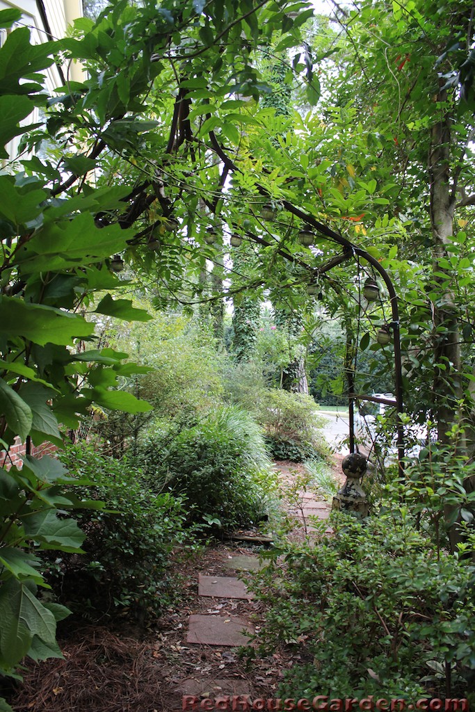 Red House Garden: The Freeman/Byrd Garden