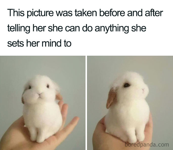 50 Feminist Memes That Will Make Most People Laugh But Trigger Sexists ...