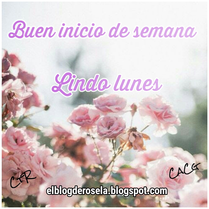 " De Todo Un Poco ": Buen inicio de semana.