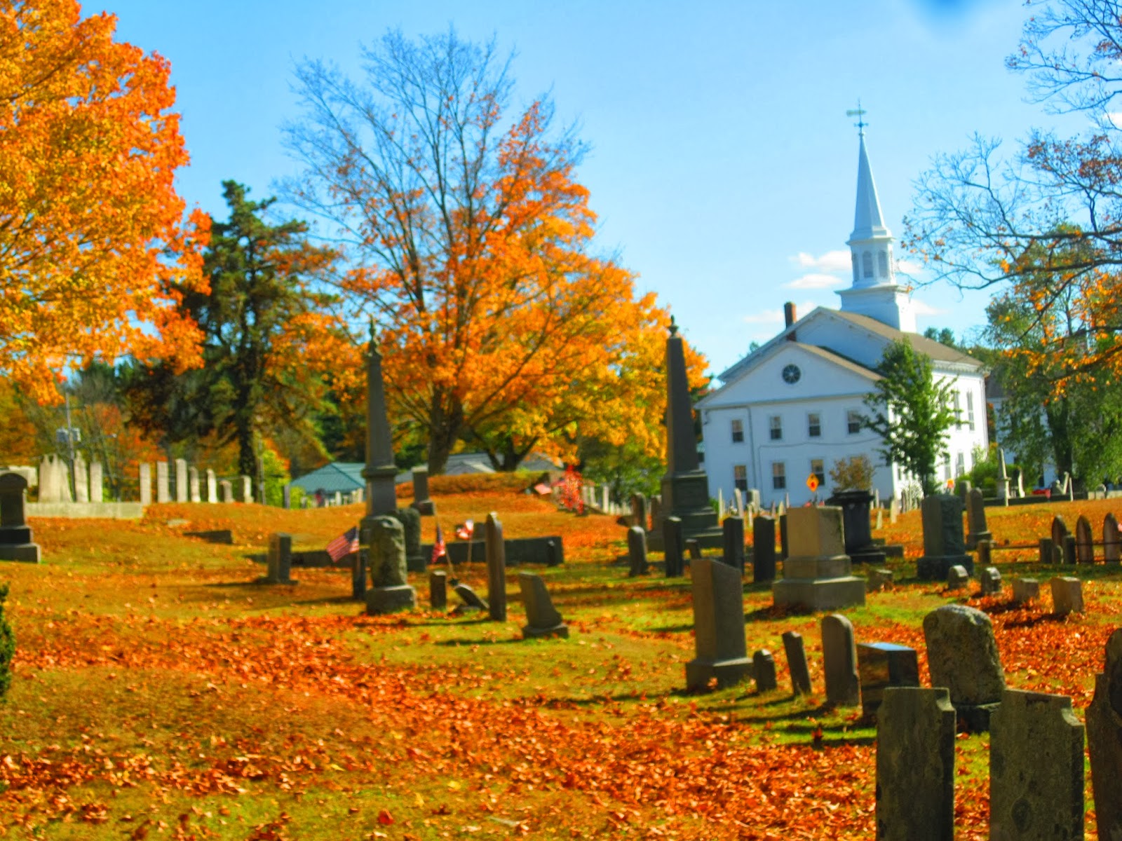 THE OLD COLONY GRAVEYARD RABBIT: AUTUMN IN NEW ENGLAND 2013
