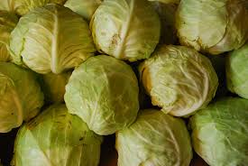 Wonder Fruits, Plants and Seeds: Alamin! Ang mga benepisyo ng Repolyo ...