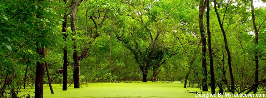 50 beautiful natural Facebook cover page photos | HOW ALL DO